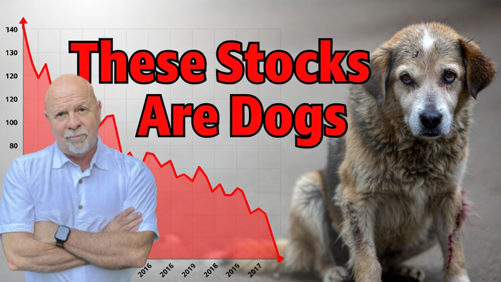 The Market Has Been Beating Up These Stocks — Watch Out! - CashFlowMachine